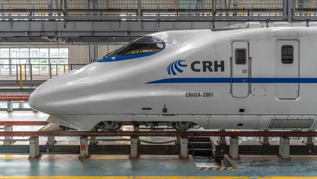 5岁和15岁的相遇！来看看它们哪里不一样？——上海热线HOT频道